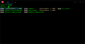 How To Install Fish Shell In Linux - OSTechNix