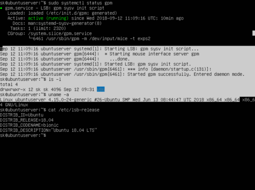 Configure Mouse Support For Linux Virtual Consoles - OSTechNix
