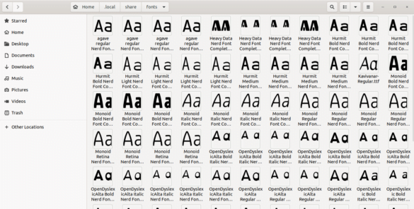 Install Nerd Fonts To Add Glyphs In Your Code On Linux Ostechnix