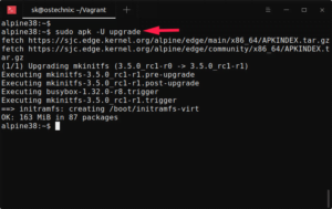 Alpine Linux Apk Command Examples - OSTechNix