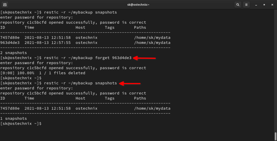 Backup And Restore Data Using Restic In Linux - OSTechNix