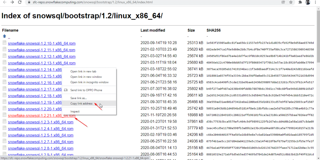 Connect Snowflake With SnowSQL CLI Client - OSTechNix