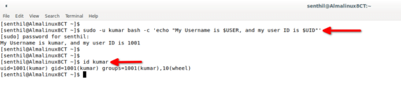 How To Run Commands As Another User Via Sudo In Linux - OSTechNix