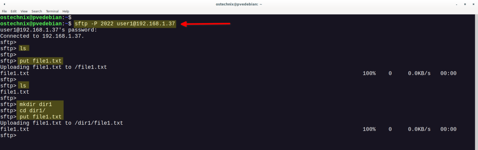 Setup SFTP Server With SFTPGo In Linux - OSTechNix