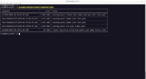 Use Proxmox Backup Client To Backup Files In Linux - OSTechNix