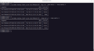 Use Proxmox Backup Client To Backup Files In Linux - OSTechNix