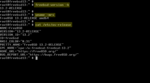 Install FreeBSD 13.2 - OSTechNix