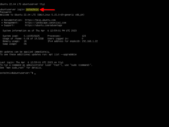 Install Ubuntu 22.04 LTS Server [Step By Step Guide] - OSTechNix