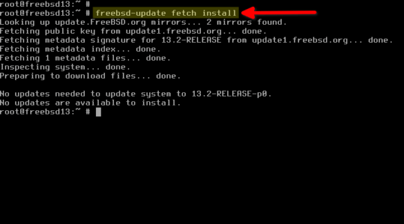 Install FreeBSD 13.2 - OSTechNix