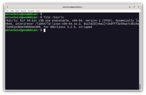 Introduction To ELF In Linux: A Simple Guide To Executable Files ...