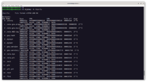 Introduction To ELF In Linux: A Simple Guide To Executable Files ...