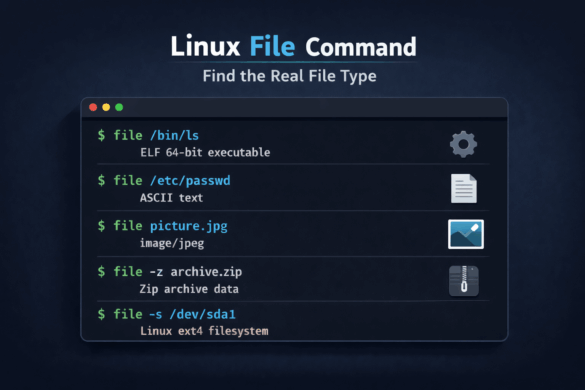 Linux file Command Explained: Find the Real File Type Instantly - OSTechNix